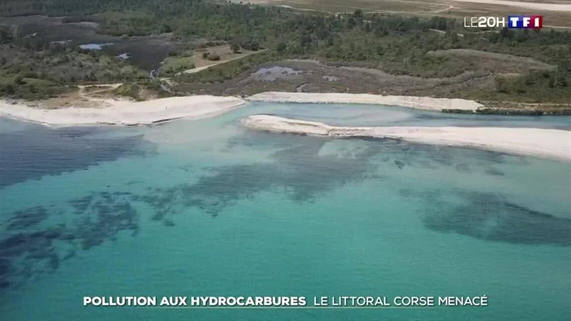 Menton : une pollution aux hydrocarbures menace le littoral ? - Cannes ...